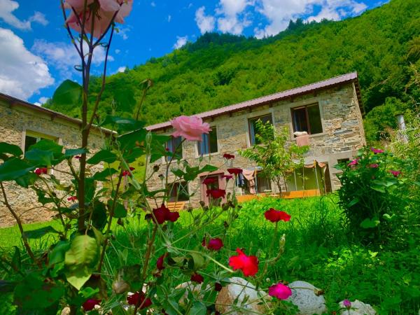 River Side Svaneti - Georgia