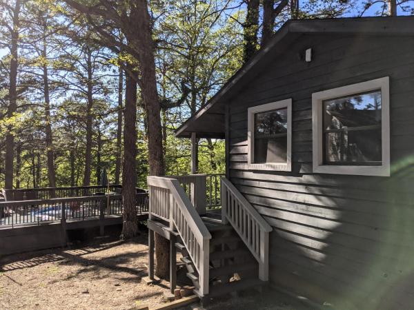 Loblolly Pines Centerpoint Camp House - Eureka Springs, AR
