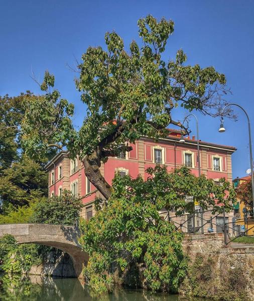 Trilocale In Villa Signorile - Monza