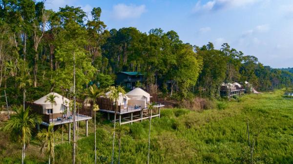Tamarind Canopy Luxe Cabin - Kodagu