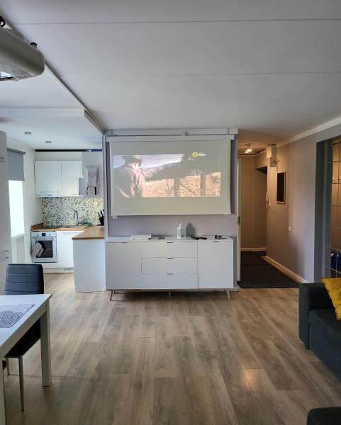 The Entire Comfortable Apartment - Estonia