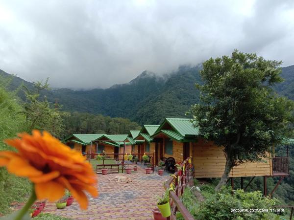 Laserene The Cottage - Pangoot - Pangoot