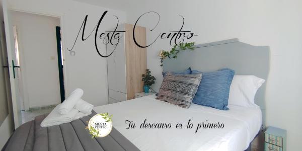 Mesta Centro - Soria
