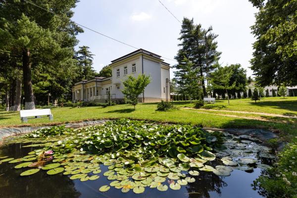 Conacul Buzdugan -