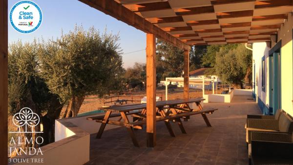 Almojanda 3 Olive Tree - Crato