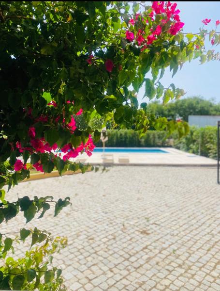 Casa Das Clarinhas - Arronches