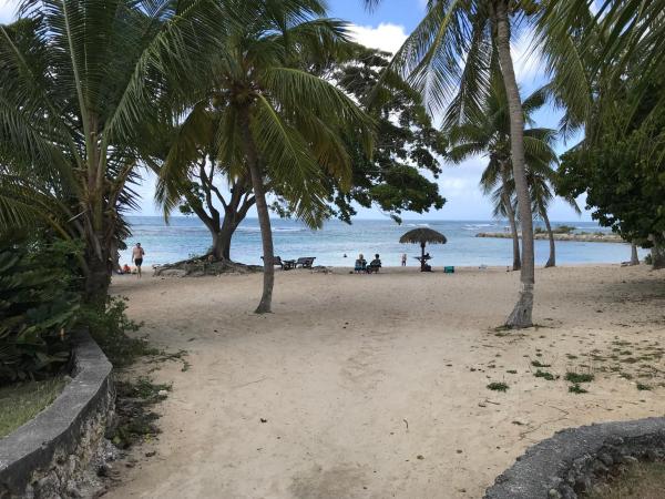 Frangipanier Mer Et Piscine - Guadeloupe