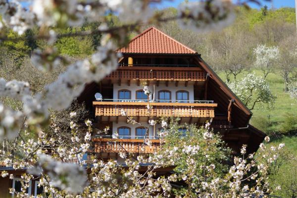 Kurparkhotel Faißt - Wolfach