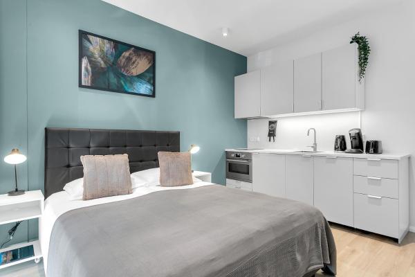 Modern Studio In Downtown Reykjavík - Reykjavik