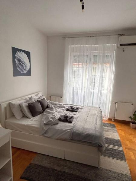 S11 - Novi Sad