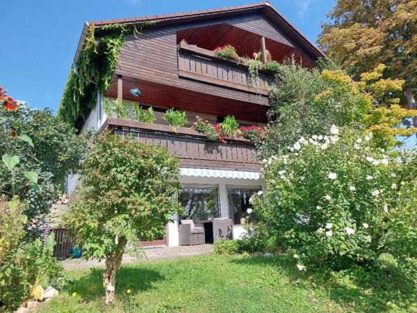 Hibiskus - A83456 - Bad Wurzach