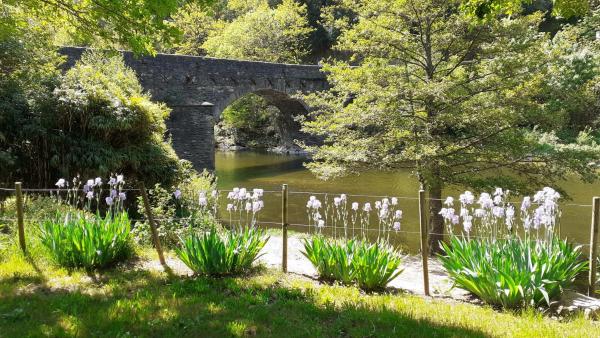 Camping Chantemerle - Florac