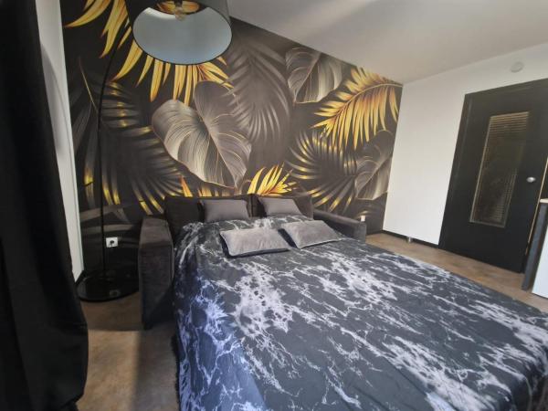 Appartement Spacieux Mulhouse - Mulhouse