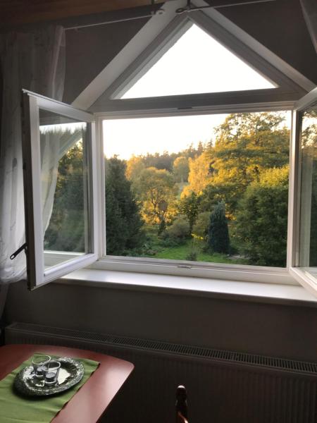 Forest Paradise - Chemnitz