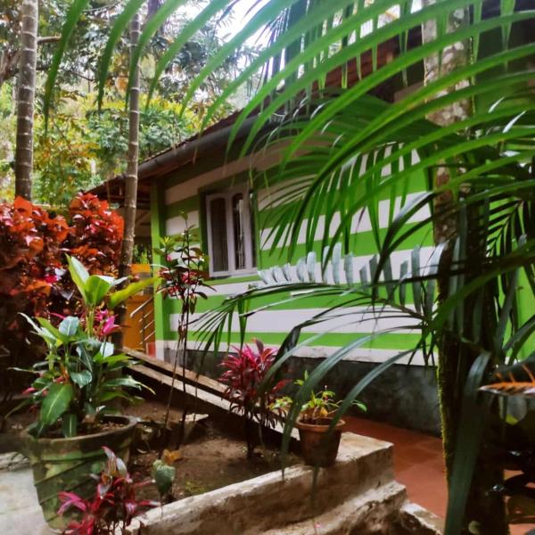 Cottage Garden Deepikas - Valparai