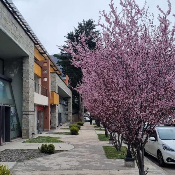 Depto Del Arroyo - San Martin de los Andes