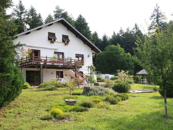 Gîte Paisible Au Cœur De La Forêt Pour 4 Personnes, Animaux Acceptés - Fr-1-589-322 - Vosges