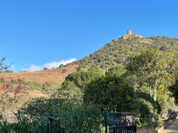 Appartement T2 à Collioure Avec Terrasse Et Parking Privé, à 300m De La Plage - Fr-1-309-385 - Collioure