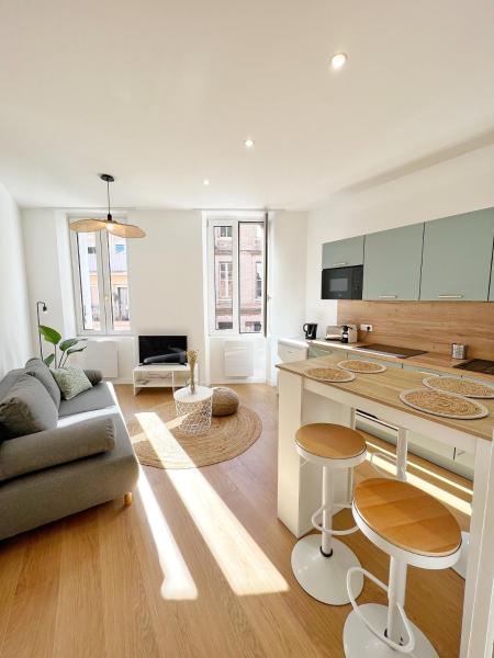 Le Carreau De Falguiere - Hypercentre - Gare - Gare de Toulouse Matabiau