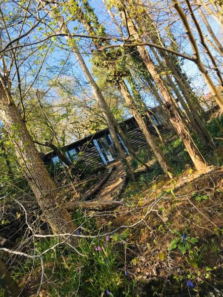 Redhill Lodge - Hampshire