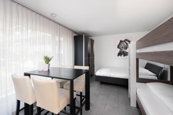 Studio Victoria Interlaken - Habkern