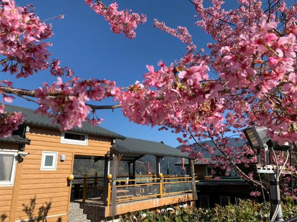 Happy Farm Homestay - Taoyuan City