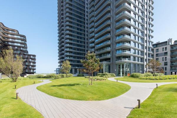 Wolf & Sea - Ostende