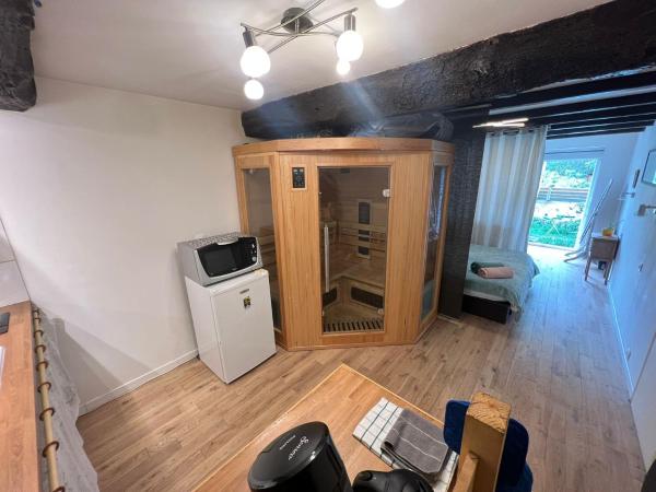Magnifique Logement Avec Sauna Infra Rouge - Saint-Étienne-de-Montluc