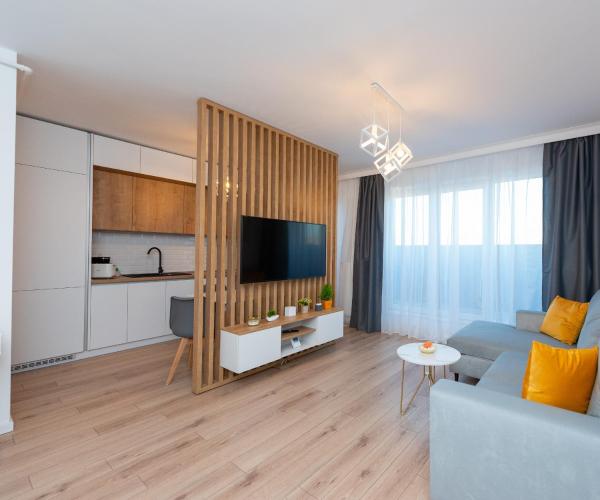 Art Apartment Ii - Târgu Mureș