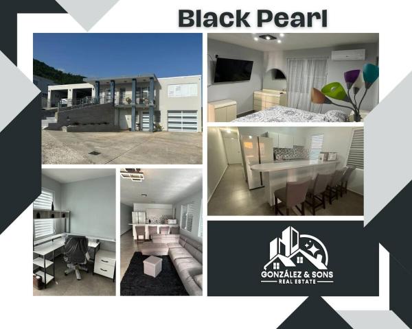 Black Pearl - Guayama
