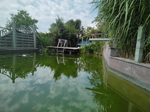 Zuhause In Hofs ,Leutkirch Im Allgäu - Altusried
