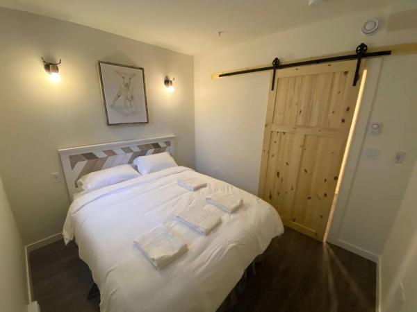 Brand New Dt 1 Br Close To All Edmonton, Canada - Saint Albert