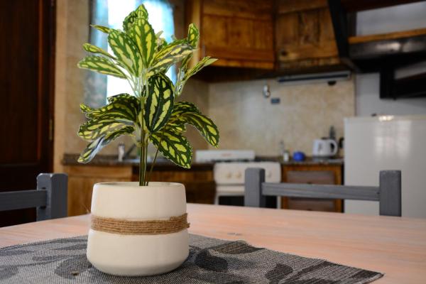 Departamento Céntrico Con Estacionamiento Propio - San Rafael, Argentina