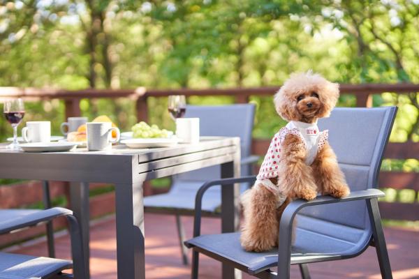 Suite Villa Nasukogen Doggy's Ohana - Nasu