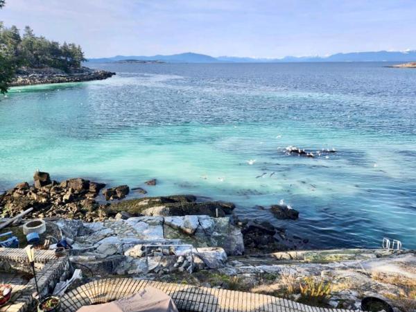 Waterfront Deluxe Guest Suite - Parksville