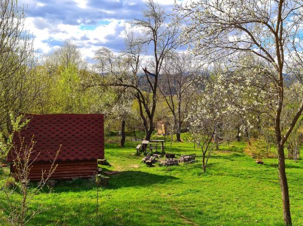 Friendship Cabin (Friendship Land) - Transylvania
