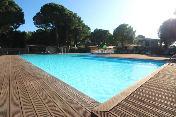 Studio Grande Piscine Dans Résidence Hôtelière, Proche Plage - Lecci