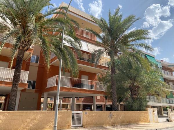 Seaside Dreams - Elche