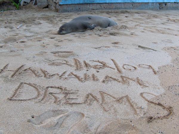 Itʻs All About The Beach - Swanzy Beach Park