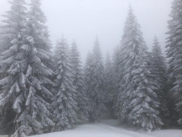 Mecava Apartmani - Kopaonik