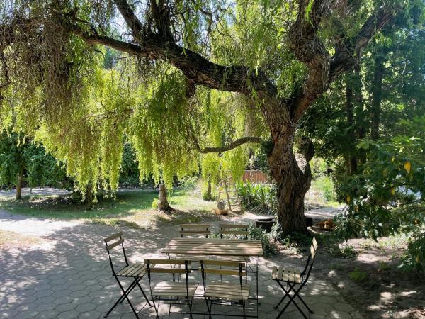 Harzhotel Warnstedter Krug - Thale