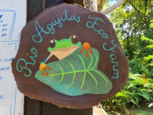 Rio Agujitas Eco Lodge- Island And Corcovado Tours - Costa Rica