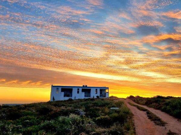 The Daiquiri Shaq - Saint Helena Bay