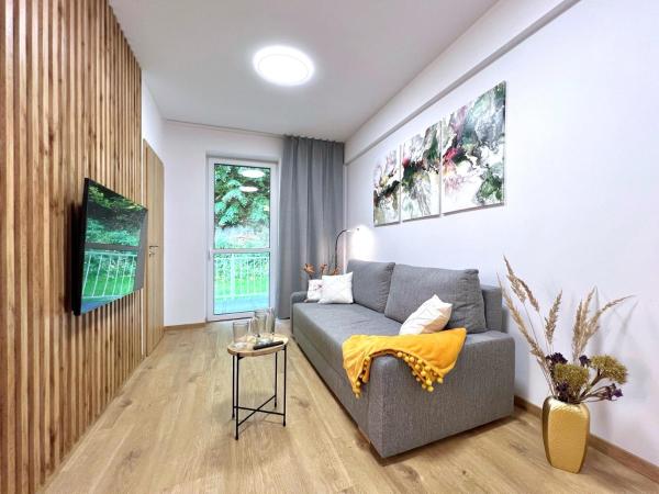 Apartmány K Lanovce S Parkováním - Oberwiesenthal