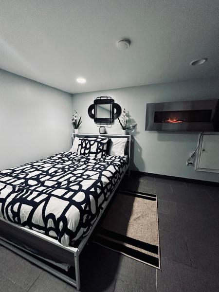 Chicago - Pilsen Studio Apartment - Unit B - Chicago, IL