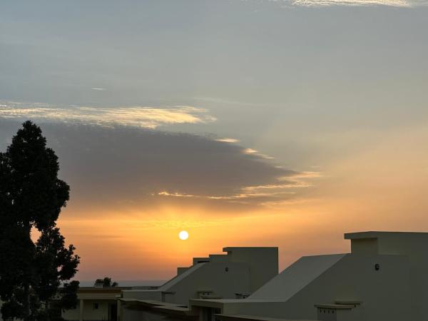 Tropical Garden - Caniço