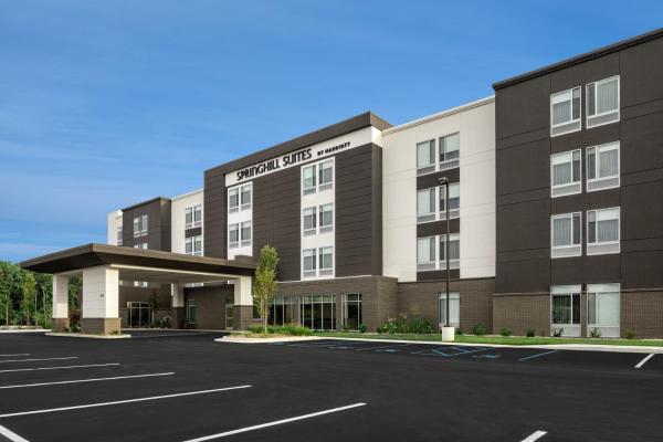 Springhill Suites By Marriott Kalamazoo Portage - Portage, MI