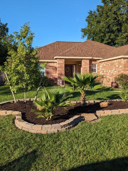 The Sunrise Oasis - Willis, TX