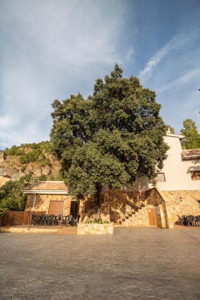 Apartamentos 7 Puentes Sierra Cazorla Casa Encina - Arroyo Frio