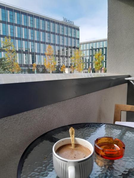 Coresi Kaspers Camil Petrescu, 2 Camere Apartment, Sleeps 6 - Brașov